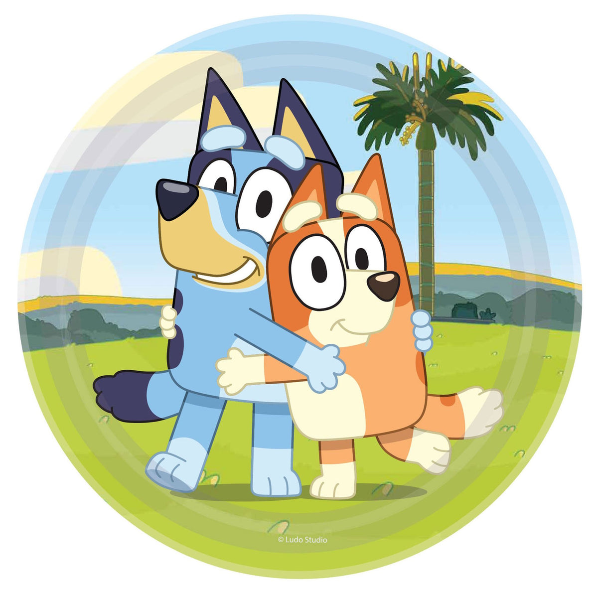 Bluey Dinner Plates 8pk – Sweet Pea Parties