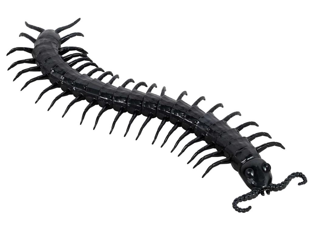 Giant Centipede Prop – Sweet Pea Parties