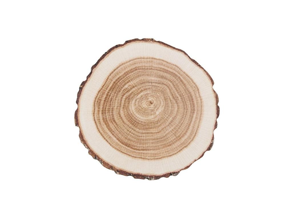 Paper Coasters - Tree Trunk 10pk – Sweet Pea Parties